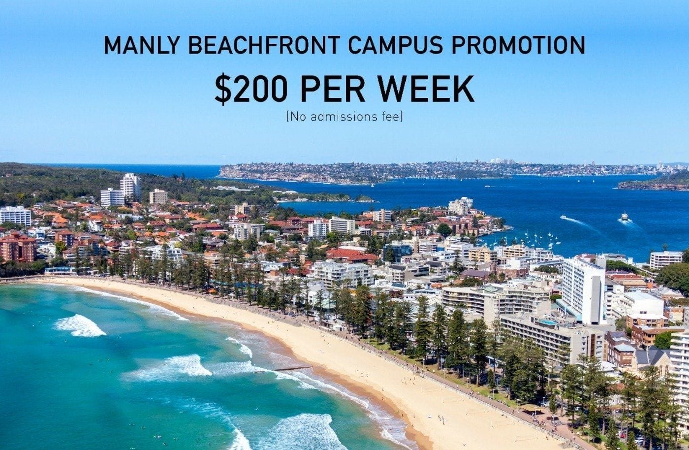 Lexis English Manly Campusがスペシャルキャンペーン | ブログ | 海外格安英語留学とワーホリの手続きサポートならお ...